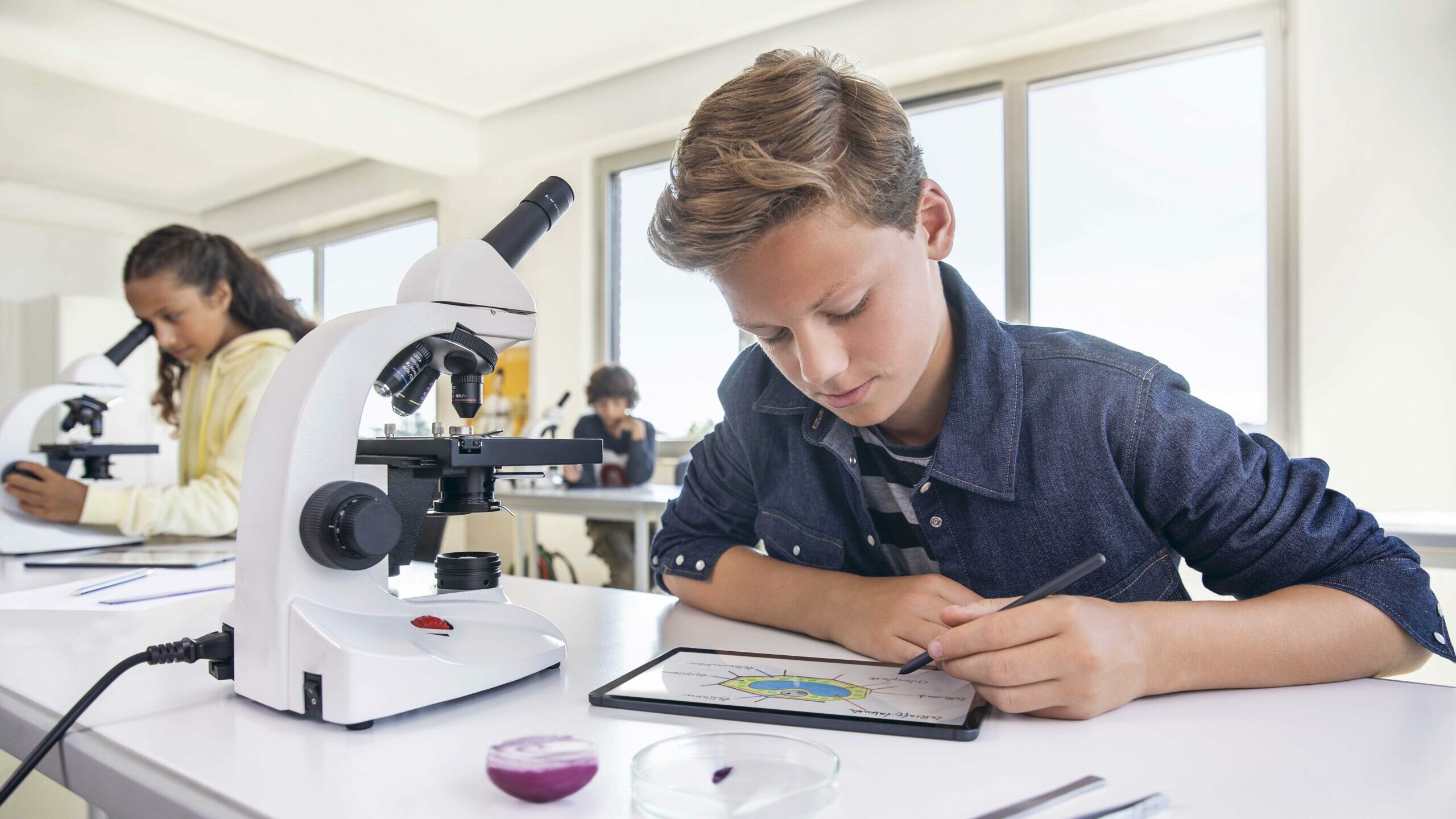 Education - sld mediatec